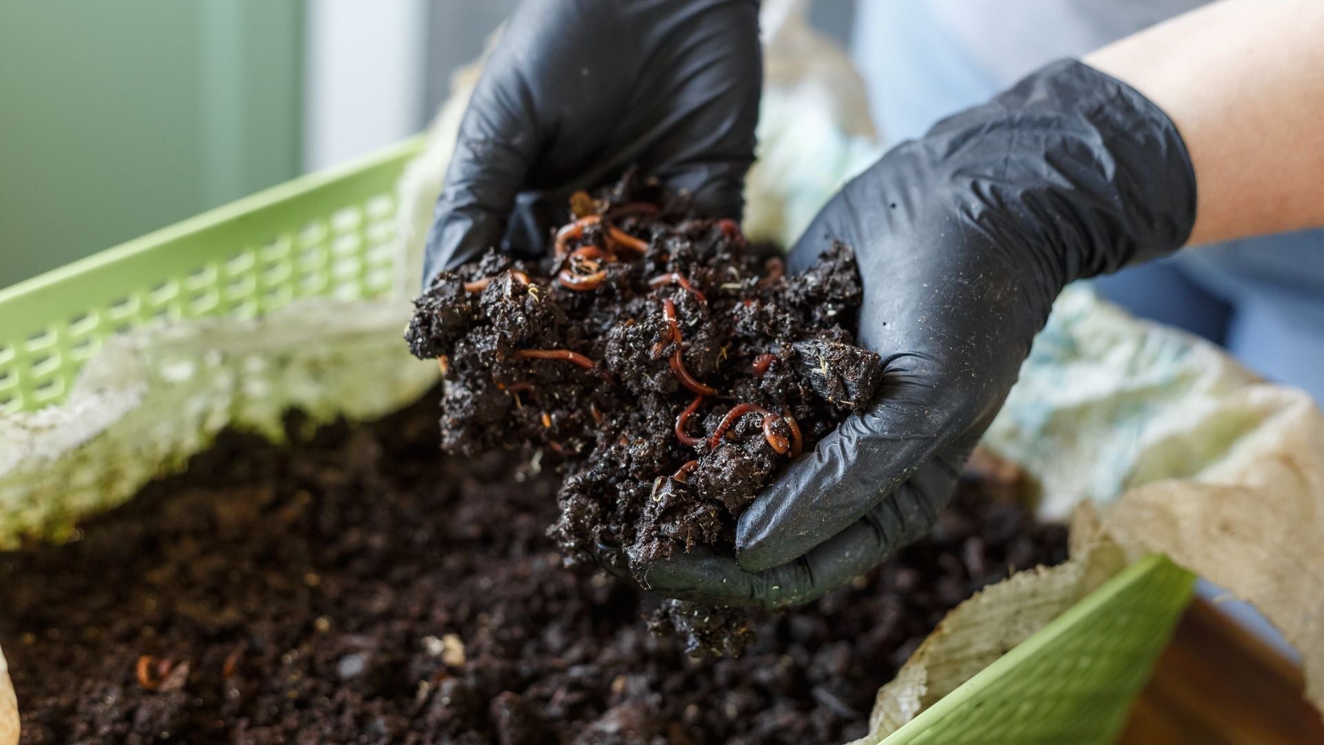 Vermicomposting 101: 10 Steps to Success – Vego Composter