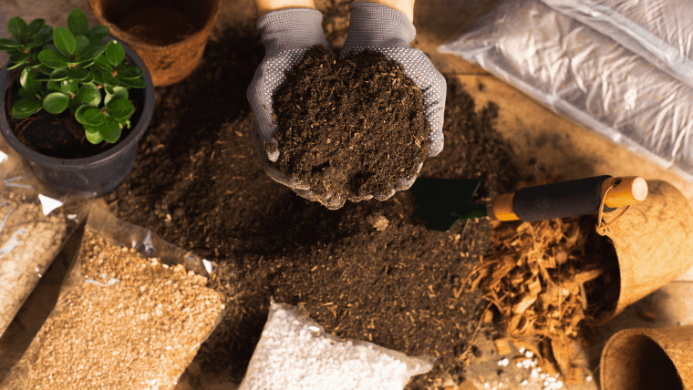 Composting for a Greener Future – Vego Composter