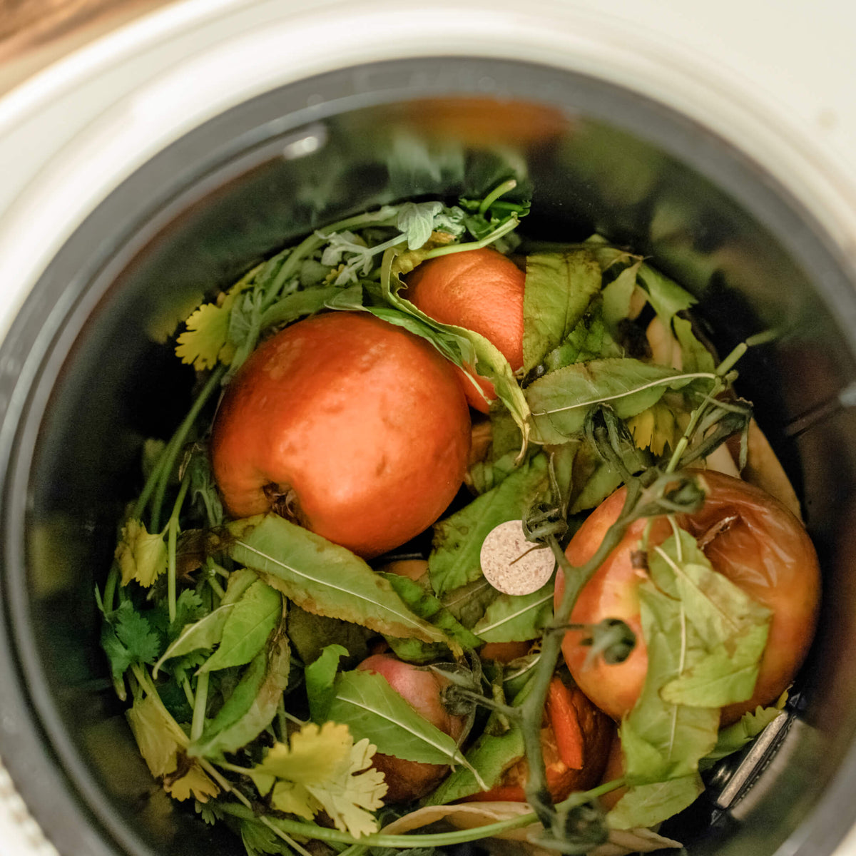 Boost Composting Efficiency with VegoTabs | Natural Microorganisms ...